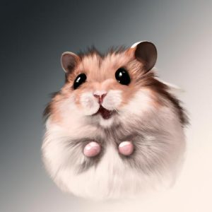 Why Is My Hamster’s Bum Swollen? (What You Should Know) – Easy Way Pets