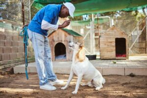 How to Teach My Dog Quiet Command? A Step-By-Step Guide – Easy Way Pets