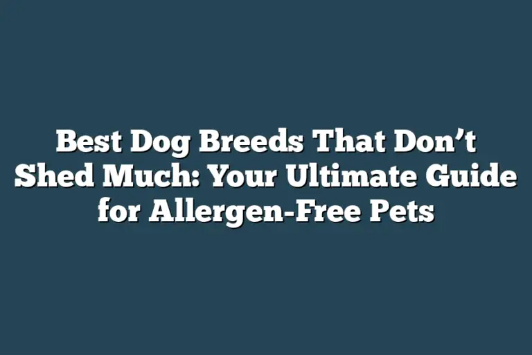Best Dog Breeds That Don’t Shed Much: Your Ultimate Guide for Allergen ...