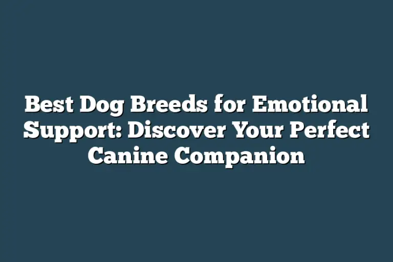Best Dog Breeds for Emotional Support: Discover Your Perfect Canine ...