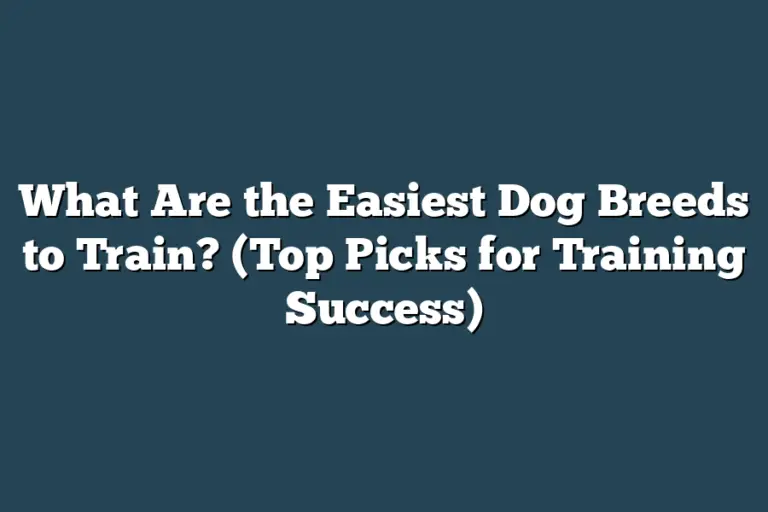 What Are the Easiest Dog Breeds to Train? (Top Picks for Training ...